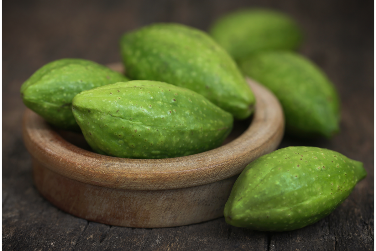 Haritaki Benefits, Supplements & Side Effects – Panchamrit