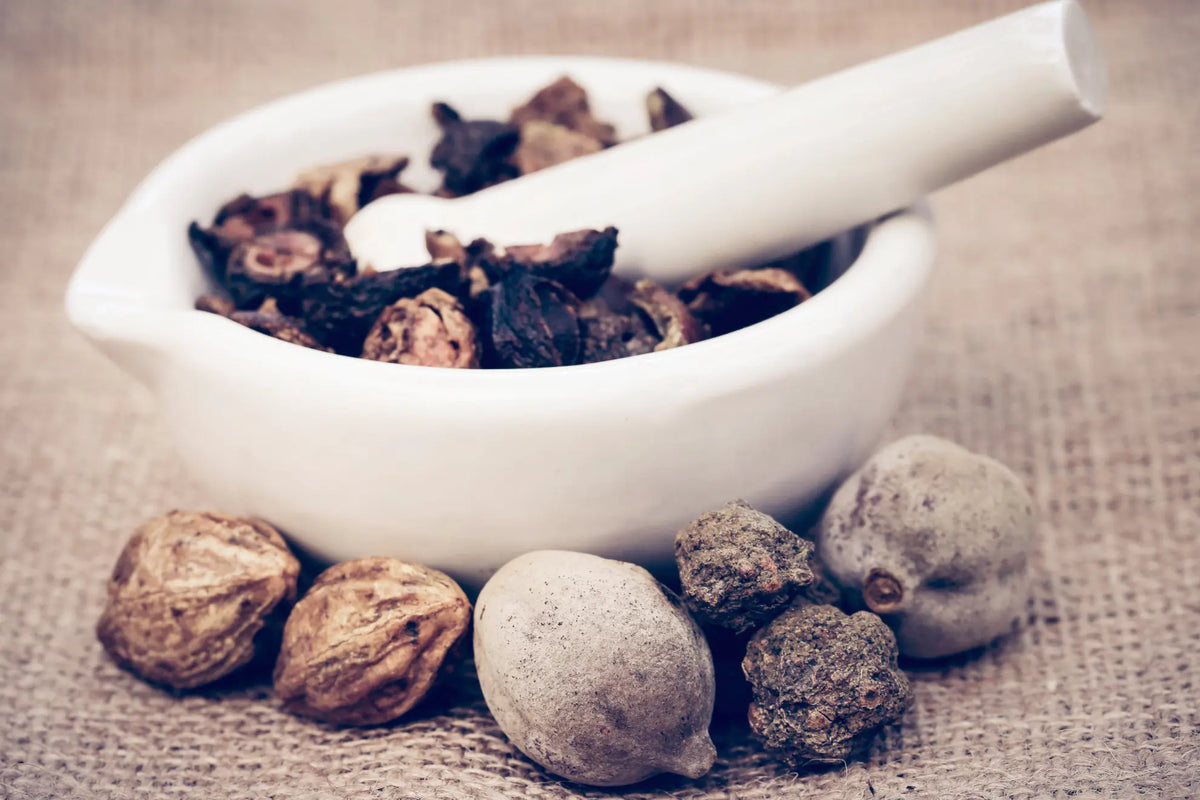 Triphala: Health Benefits, Supplements, How To Use & More! – Panchamrit